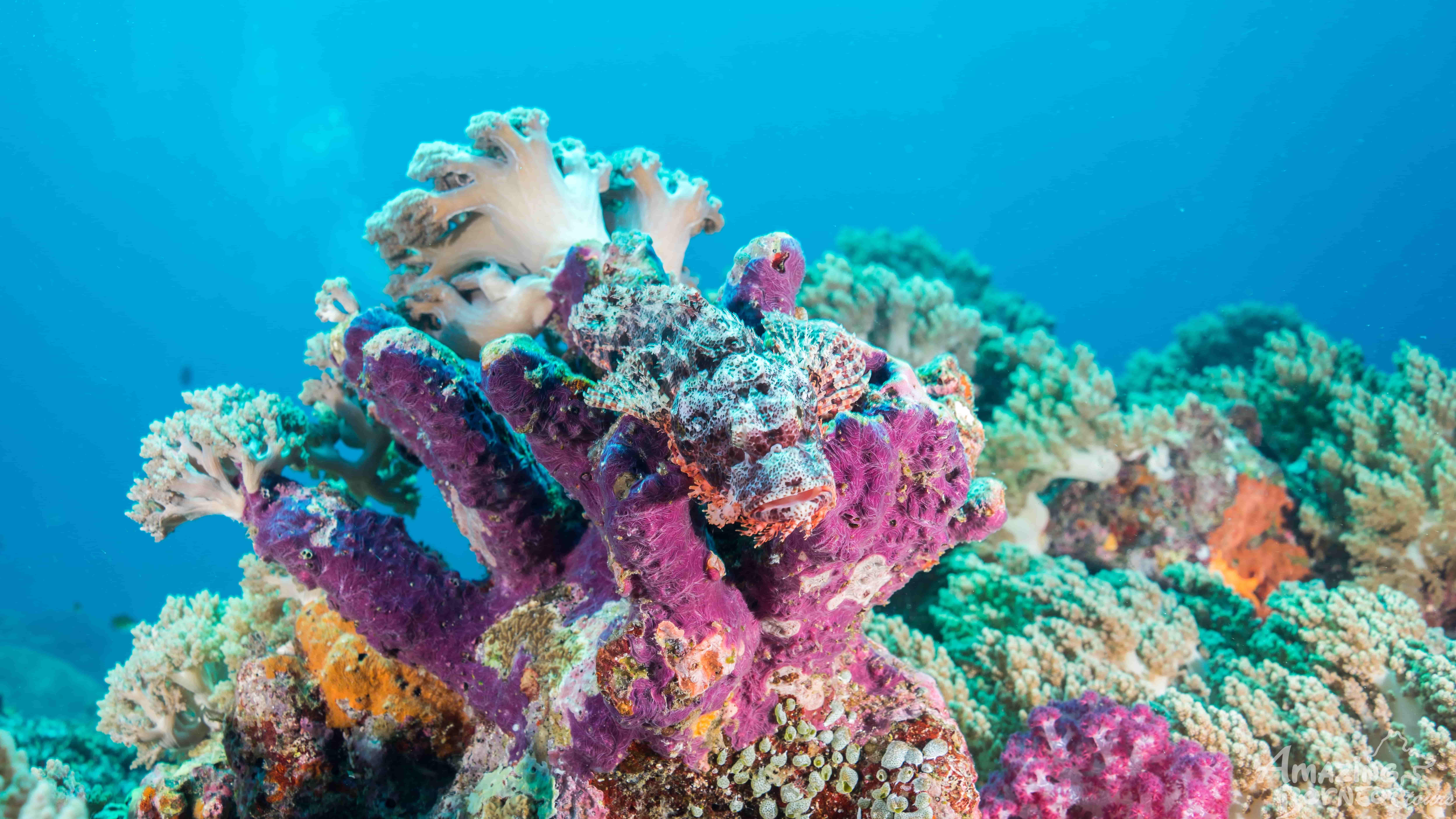 Top UNESCO World Heritage Sites of SE Asia Part 5 | Travelogue ...